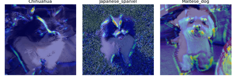 Tensorflow insights - part 3: Visualizations - Willogy Insights