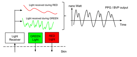 Remote Photoplethysmography - Willogy Insights