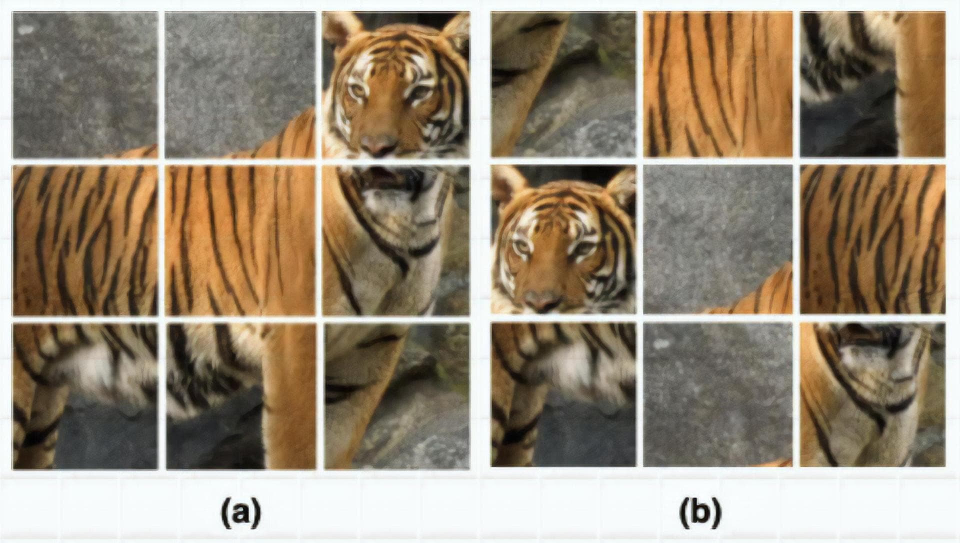 Self-Supervised Learning - Part 1: Simple and intuitive introduction for beginners - Willogy ...